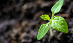 ABOUT US - INTEGRAL Laboratories